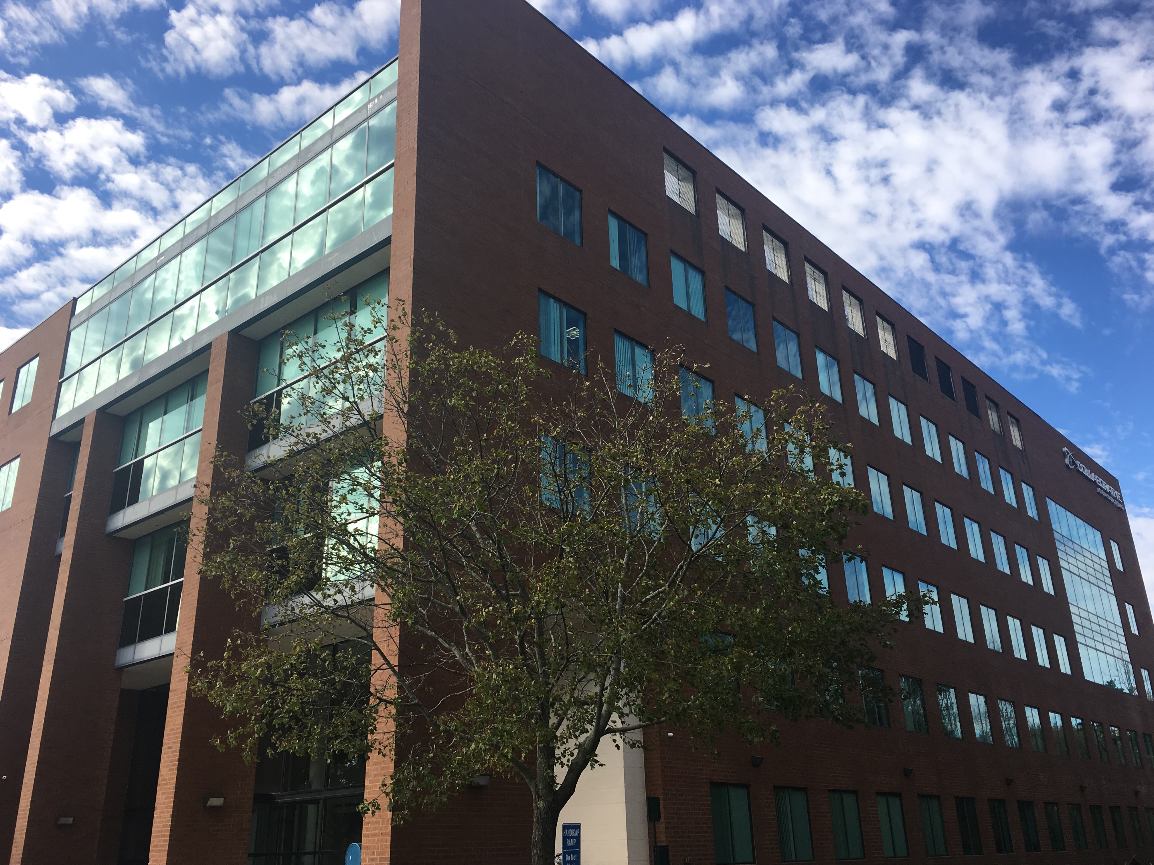 Alpha Software | A Mobile Application Development Company